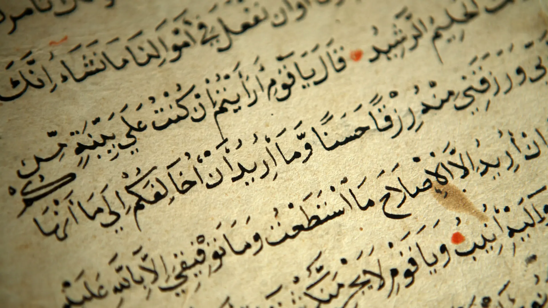 Best Arabic Course For Adults In The UAE 2026 - Learn Arabic UAE